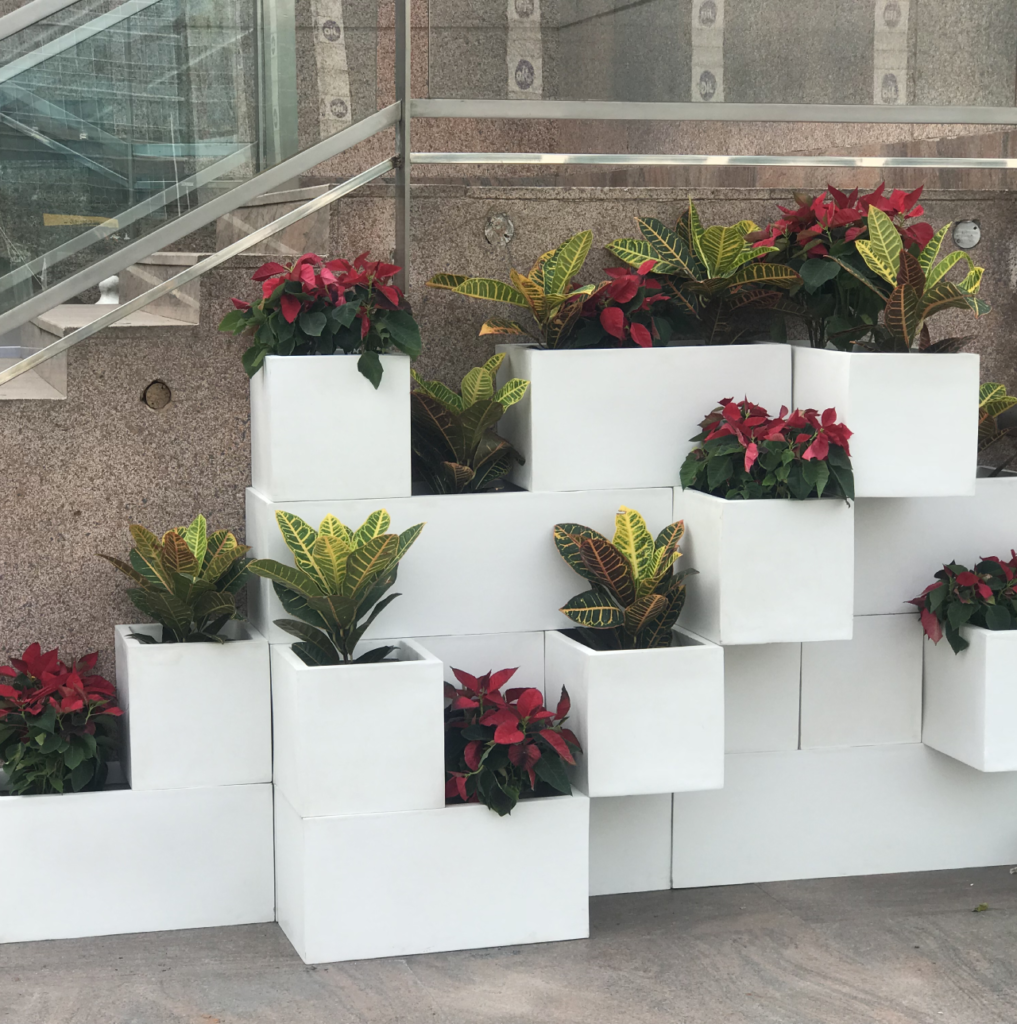 Green Earth Plant Hire: Elevate Your Space With Plant Rental Services