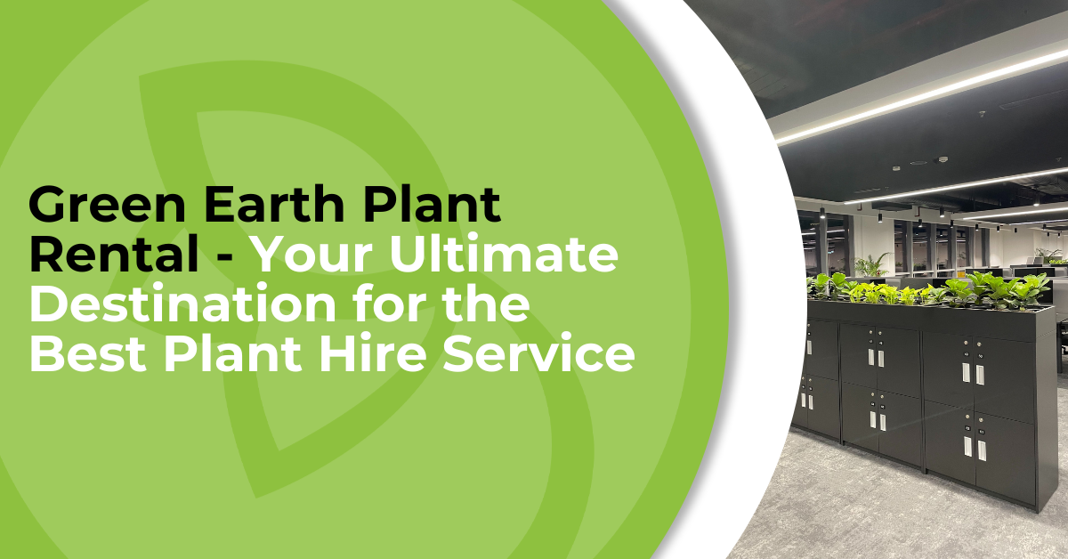 Affordable Plant Hire: Green Elegance For Offices & Events