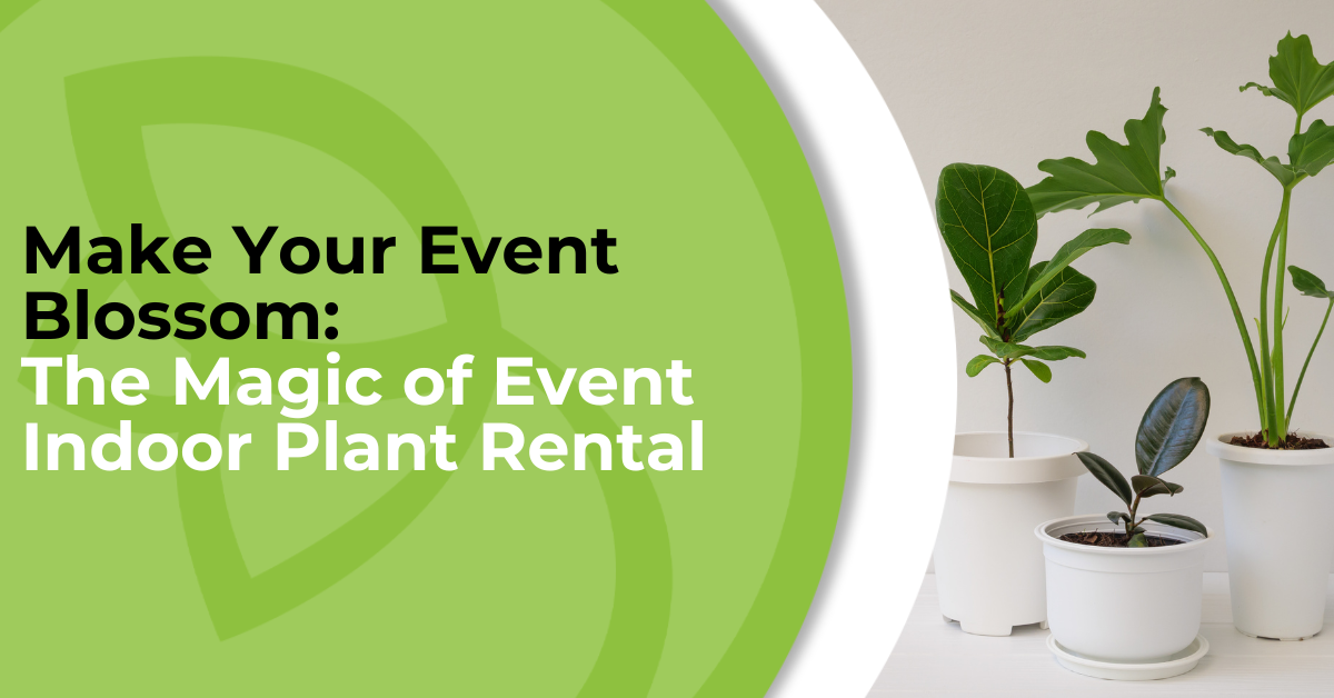 Make Your Event Blossom: The Magic Of Event Indoor Plant Rental