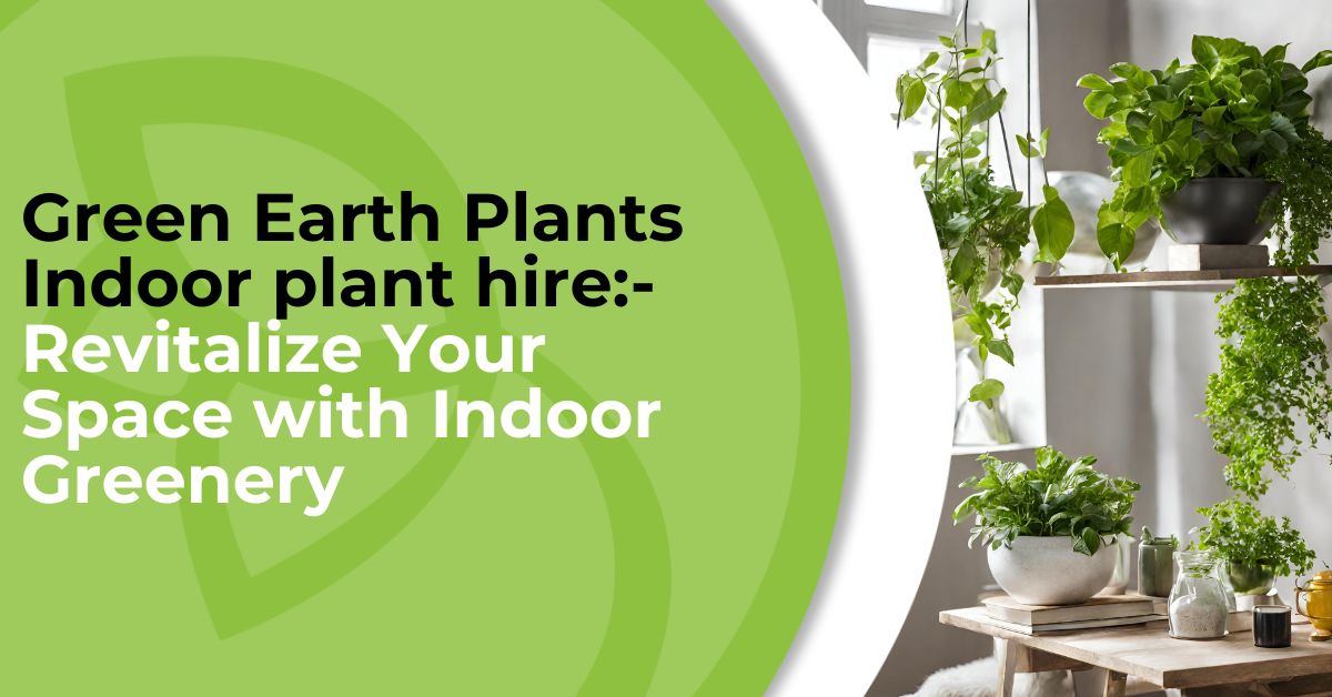 Greening Your Workspace - Power Of Indoor Plants