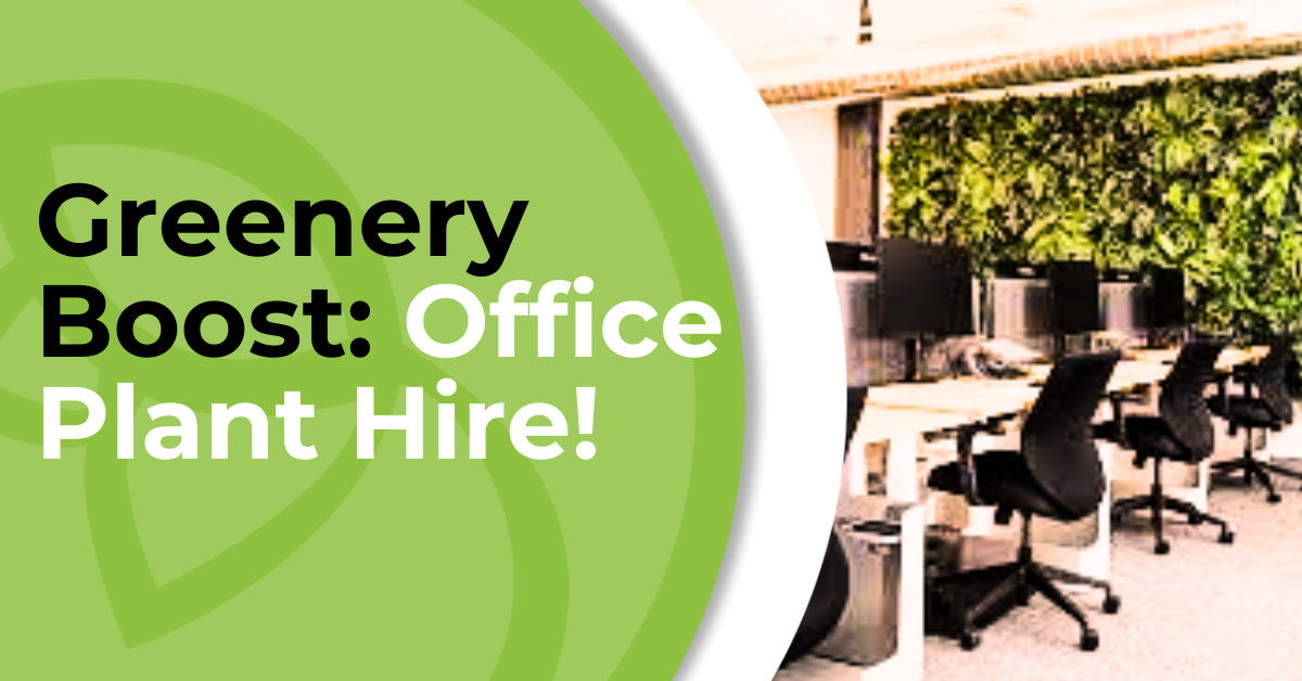 Greenery Boost: Office Plant Hire Now! Green Earth Plants