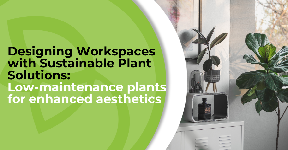Revamp Your Space With Indoor Plant Hire