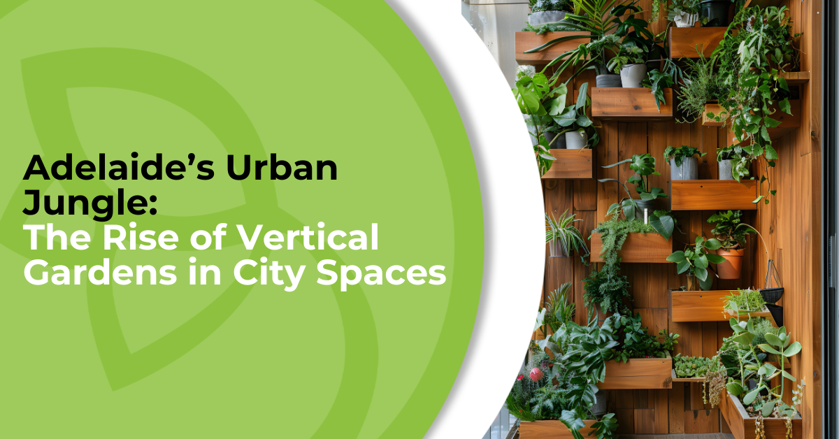 Adelaide’s Urban Jungle: The Rise Of Vertical Gardens In City Spaces ...