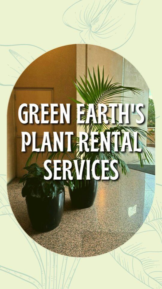 Contact Us - Green Earth